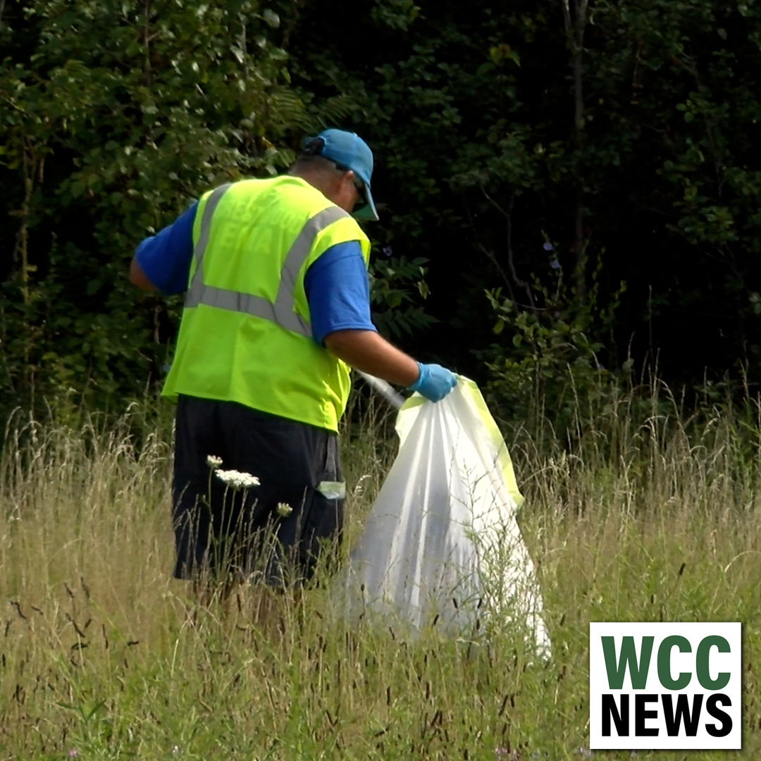 Help Restore Waterways on May 10, 2025 – Will Cook County News